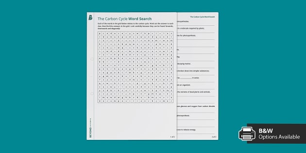 Carbon Cycle Word Search