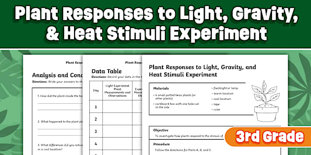 Plant Responses to Light, Gravity, & Heat Stimuli Experiment