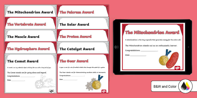 End of the Year Science Awards for 6th-8th Grade - Twinkl