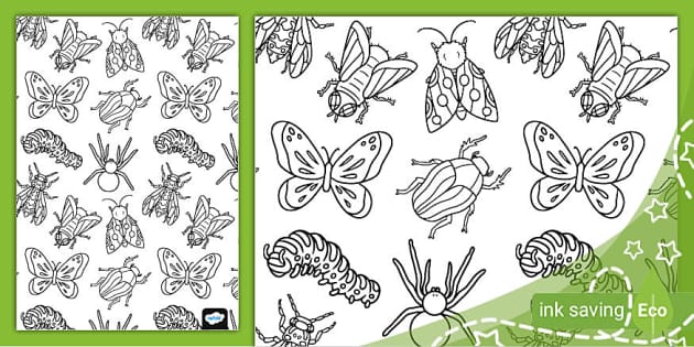 Insects Doodle Colouring Page (Teacher-Made) - Twinkl