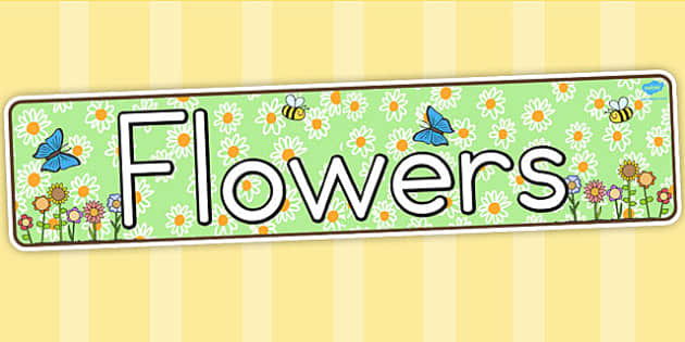 Flower Display Banner (teacher made) - Twinkl