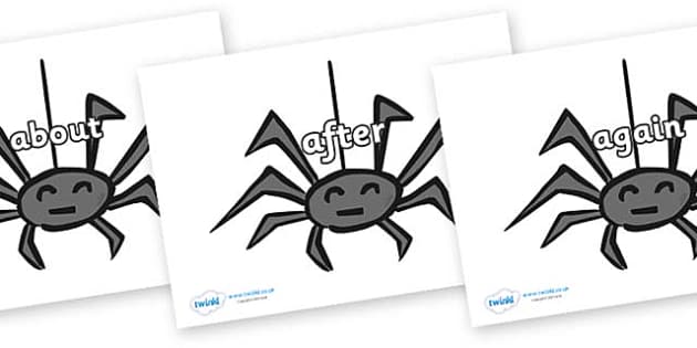 KS1 Keywords on Spiders (teacher made) - Twinkl