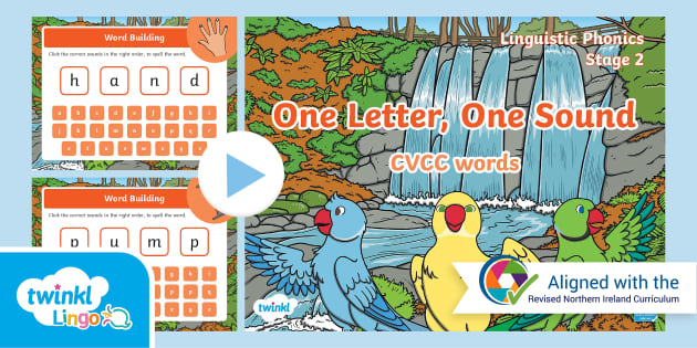 NI Lingo Phonics Stage 2 PowerPoint | CVCC Word-Building
