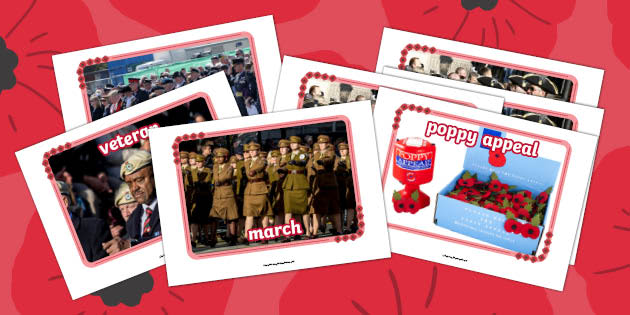 Remembrance Day Display Photos (teacher made) - Twinkl