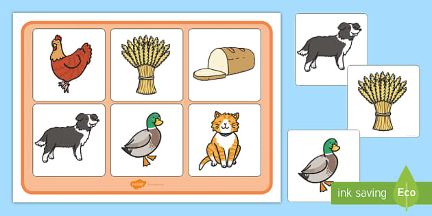 Little Red Hen Matching Cards and Board - Twinkl