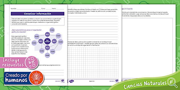 organizador gráfico | sintetizar | habilidades | resumir
