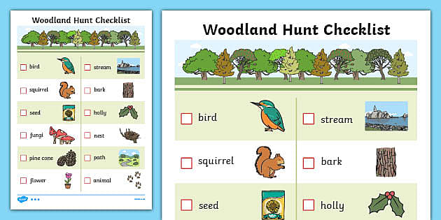Woodland Treasure Hunt - Outdoor Checklist - CfE Resources