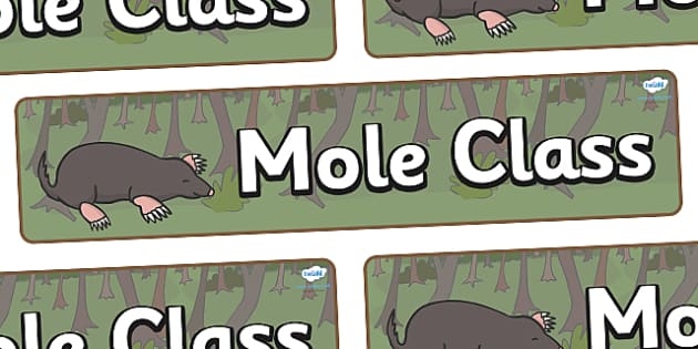 FREE! - Mole Themed Classroom Display Banner (teacher made)