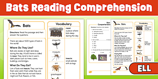 Bats Reading Passage Comprehension Worksheet for ELL