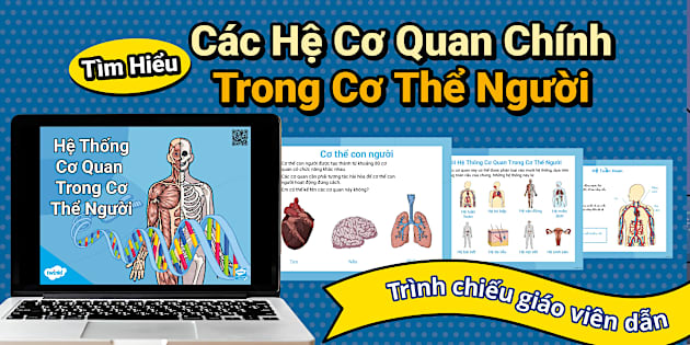 Powerpoint Hệ Thống Cơ Quan Trong Cơ Thể Người