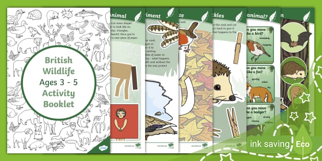 British Wildlife Activity Booklet (Ages 3 - 5) - Twinkl