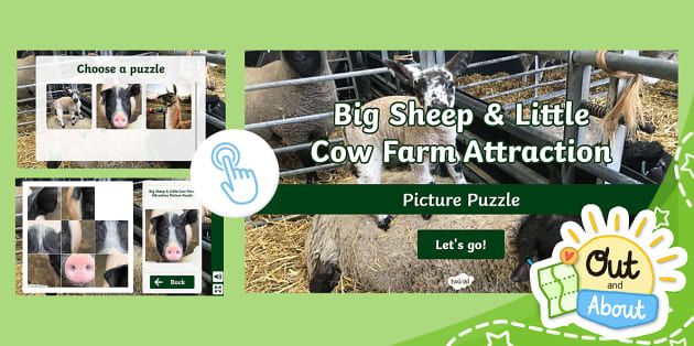 Big Sheep & Little Cow Farm Attraction Picture Puzzle
