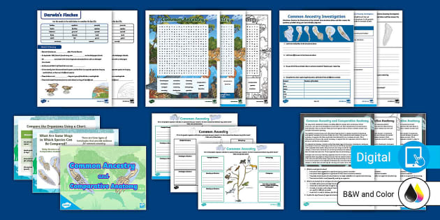 Eighth Grade Common Ancestry and Comparative Anatomy Pack