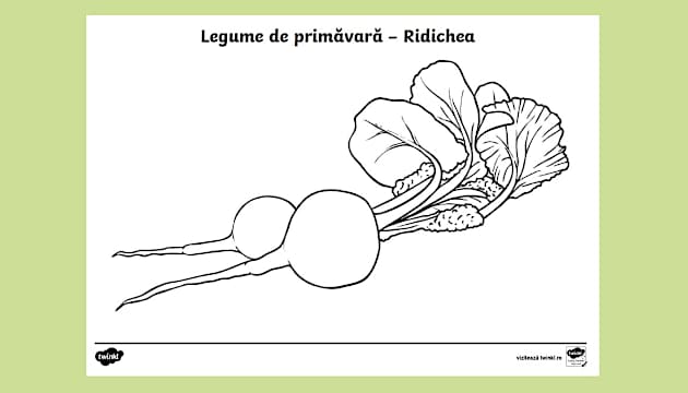 Legume de primăvară: Ridichea – Desen de colorat