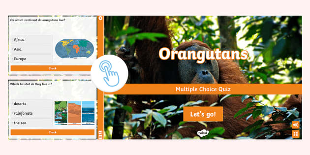 Orangutan Interactive Quiz - KS1 (teacher made) - Twinkl
