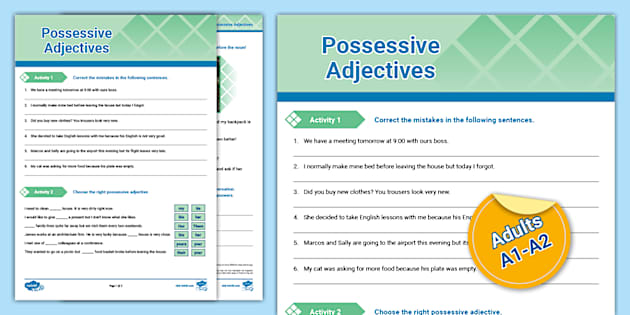 ESL Possessive Adjectives Activity Sheet [Adults, A1-A2]