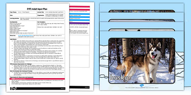 Arctic Animals Describe It and Find It EYFS Adult Input Plan and ...