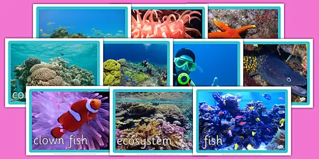 Colorful Coral Reef Fish Crossword