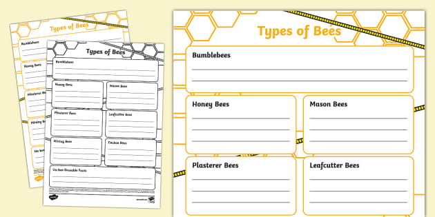Types of Bees Fact File Template (teacher made) - Twinkl