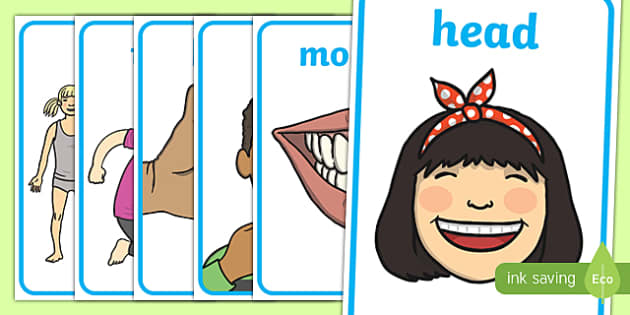 My Body Display Posters (teacher made)