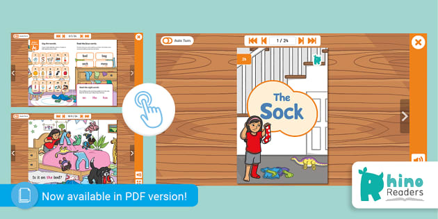 Level 2b Decodable Readers: The Sock (teacher made) - Twinkl