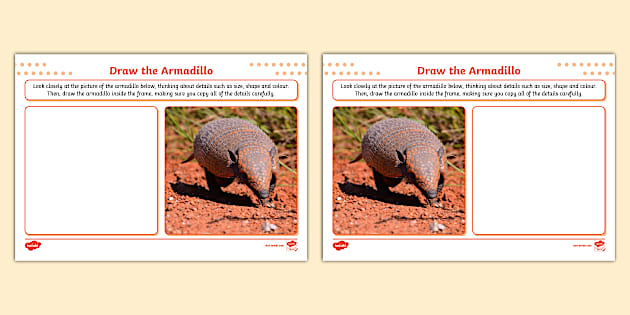 Draw the Armadillo Worksheet (teacher made) - Twinkl