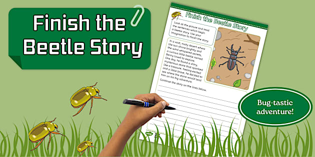 Finish the Beetle Story Worksheet - Twinkl