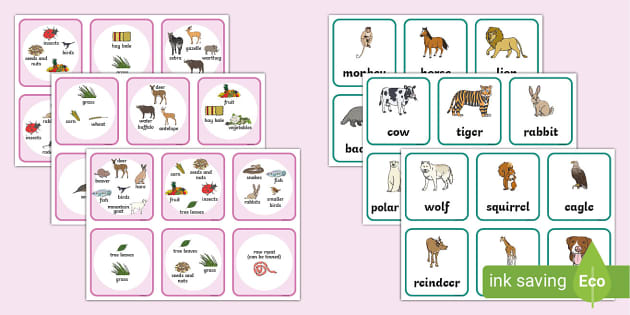 Animals and their Diets Matching Activity (teacher made)