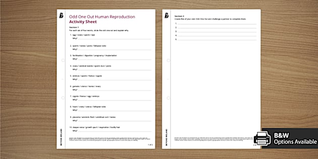 Odd One Out Human Reproduction Activity Sheet