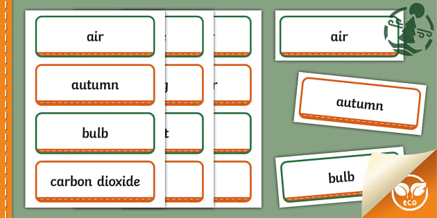 * NEW * Year 1 Earth's Climate & Cycles: Key Vocabulary Cards