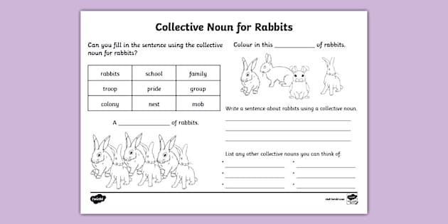 Collective Noun for Rabbits Worksheet - Writing Activity