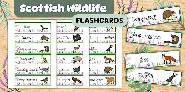 Scottish Botanicals-Themed Scottish Wildlife Flashcards