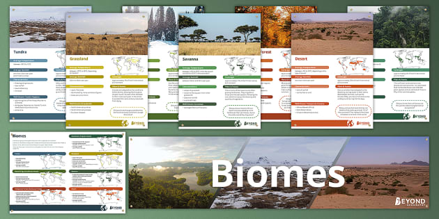 Biomes Display Pack (teacher made)