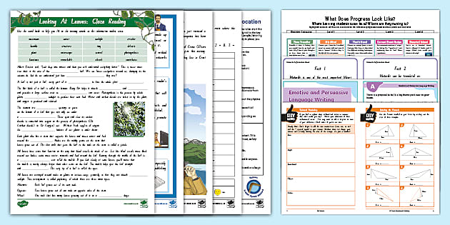 FREE New Zealand Years 7-8 Taster Pack (teacher made)