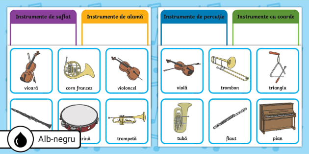 Familii de instrumente muzicale – Activitate de sortare