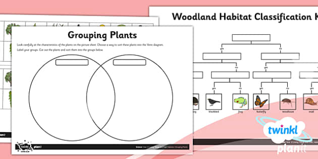 Science: Living Things and Their Habitats Year 4 Home Learning Tasks