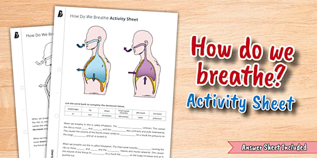 How Do We Breathe Activity Sheet