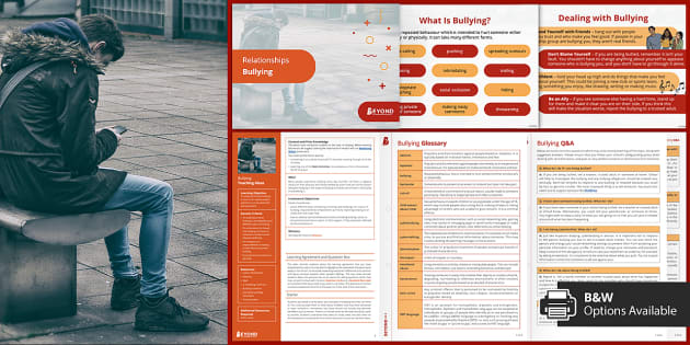 Bullying Lesson Pack (teacher made) - Twinkl