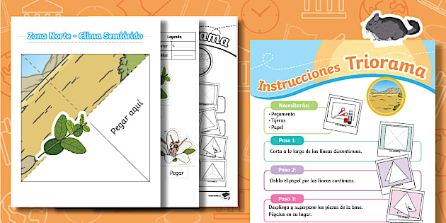 * NEW * Triorama: Zona Norte - Clima Semiárido - Twinkl