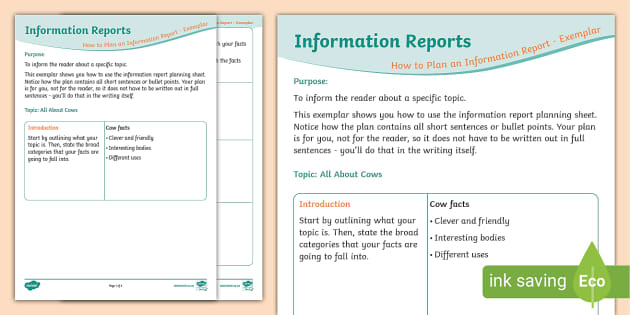 Level 2 Writing - Information Report Planning Sheet Exemplar