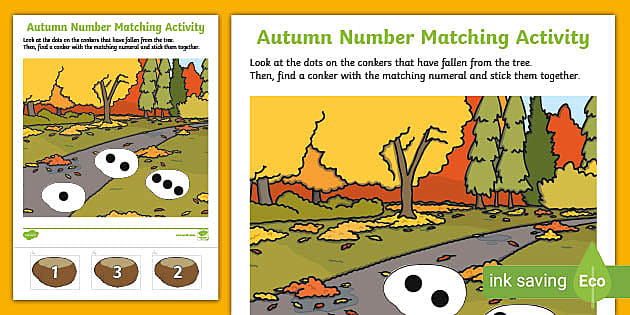 👉 Autumn 1-3 Number Matching Activity (teacher made)