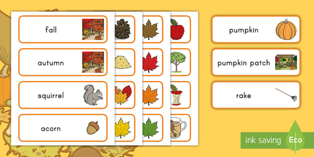 Fall Word Cards with Pictures | Teaching Resource | Twinkl