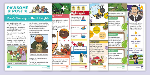 KS1 May Differentiated Reading Comprehension Activity Pack