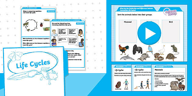 Step into Science: Year 5: Spring: Block 3: Life Cycles: Steps 1 to 4