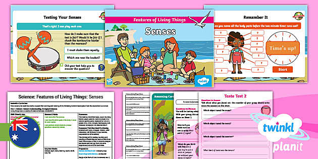Year 1 Science Features of Living Things Lesson 5 Senses