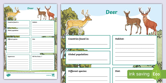 Deer Fact File Template (nauczyciel wykonał) - Twinkl Deer Fact File Template (nauczyciel wykonał) - Twinkl