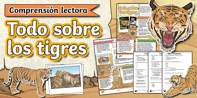 Comprensión lectora por niveles: Todo sobre los tigres