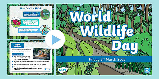 KS1 World Wildlife Day PowerPoint | Primary Resources