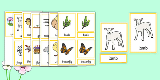 Spring Three Part Cards (teacher made) - Twinkl