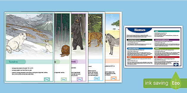 Animals from Each Biome Poster Pack | HASS Geography